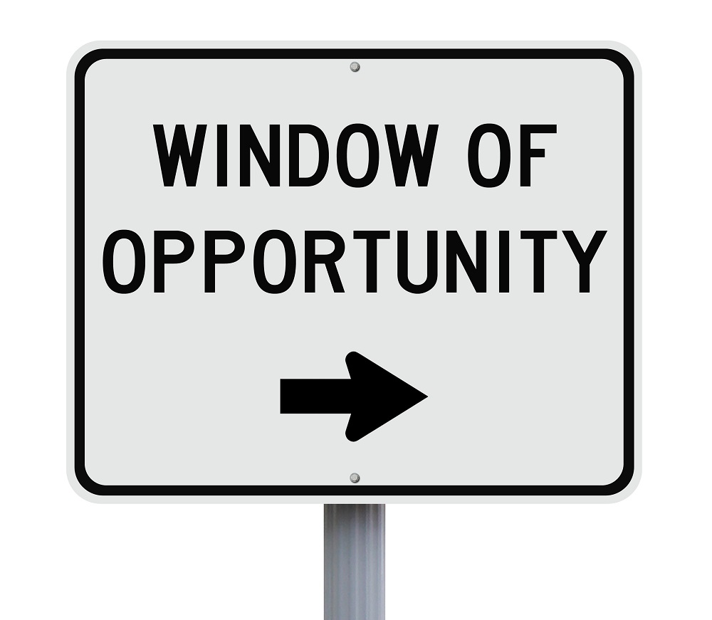 Discretionary permissions: big win or small window of opportunity ...